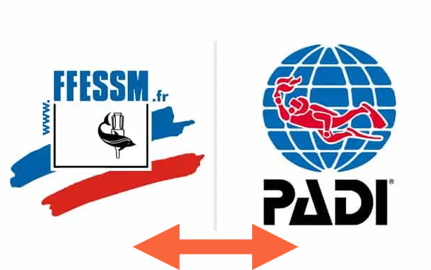 Selkie Plongée | Selkie Plongée club de plongée sous-marine de Vieux ...